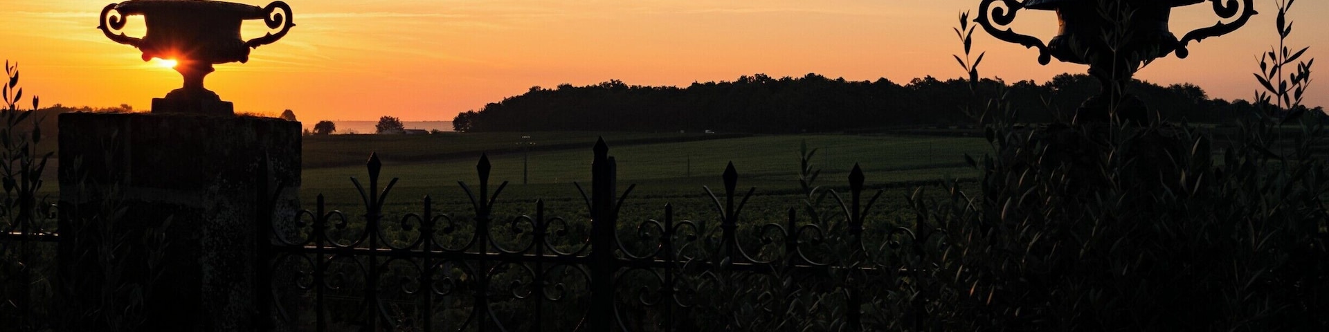 Cognac Bertrand at dawn