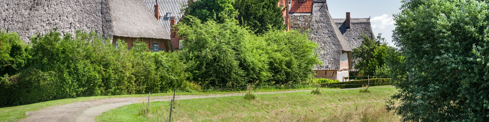 Paisagem rural com casas de telhado de palha, um caminho de terra e vegetação exuberante.