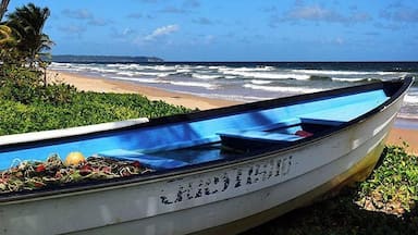 Um barco na praia, com céu azul e ondas do mar.