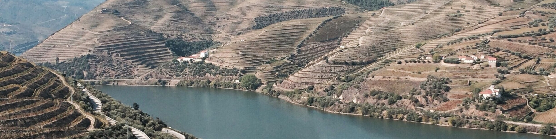 Much of our time in Oporto was actually spent outside of the city in the Douro Valley exploring various wineries and taking in the natural beauty of the area. Highly recommend Viator for tours.
More info: http://www.badsentences.com/travel-porto-part-ii/