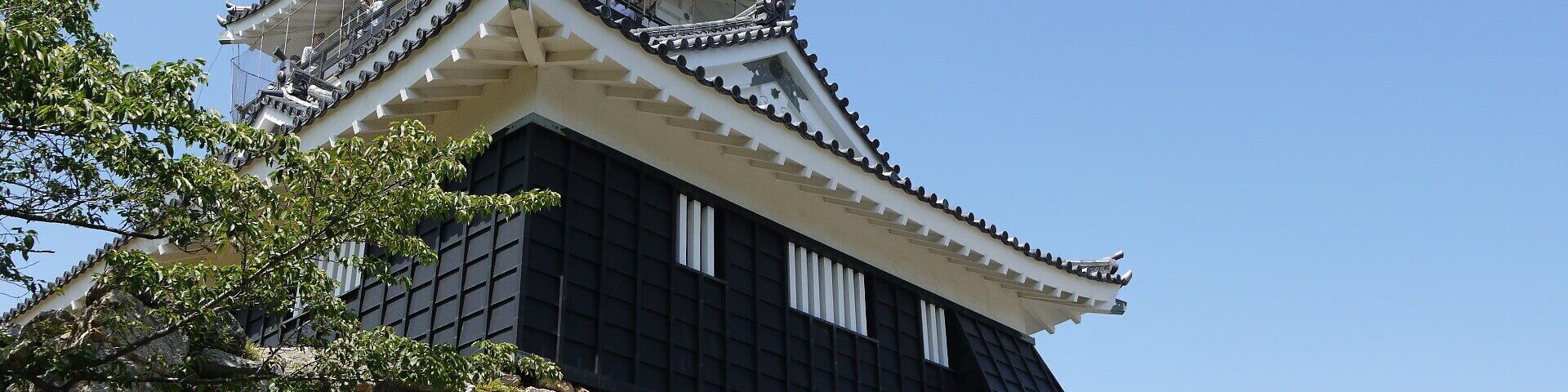 Hamamatsu Castle 浜松城3