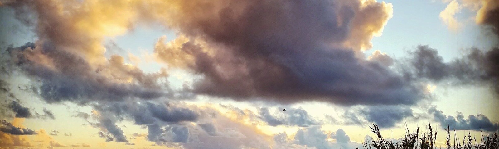 #beach #beautiful #pretty
#sunset
#clouds
#homesweethome