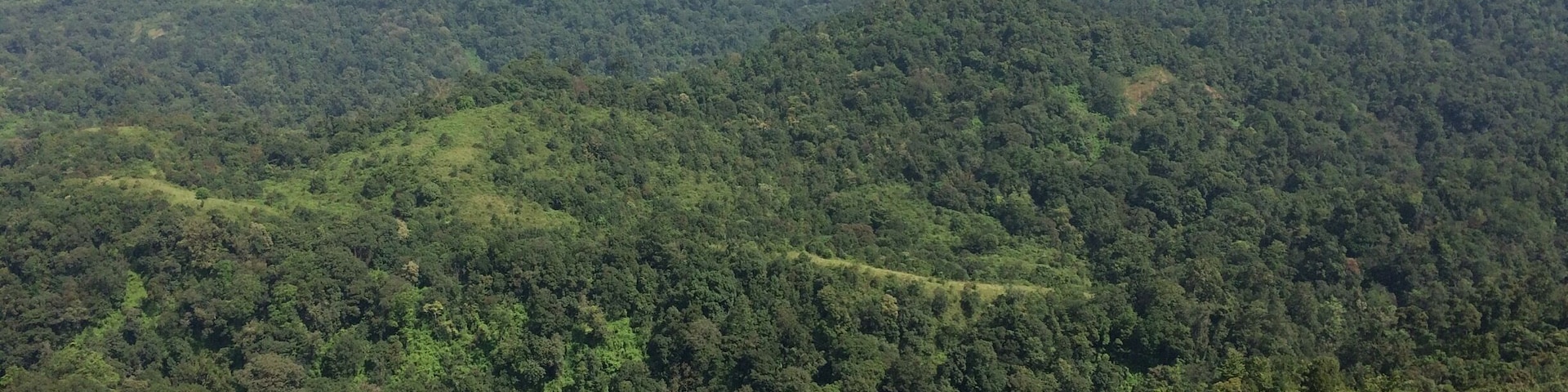 View from the Watch tower @ Sialandri 
Silent Valley National Park (Core zone: 236.74 square kilometres (91 sq mi)) is located in the Nilgiri Hills, Palakkad District in Kerala, South India. The Silent Valley is the largest national park in Kerala.
The park is one of the last undisturbed tracts of South Western Ghats mountain rain forests and tropical moist evergreen forest in India and is part of The Nilgiri Sub-Cluster (6,000+ km²), Western Ghats World Heritage Site, recognised by UNESCO.