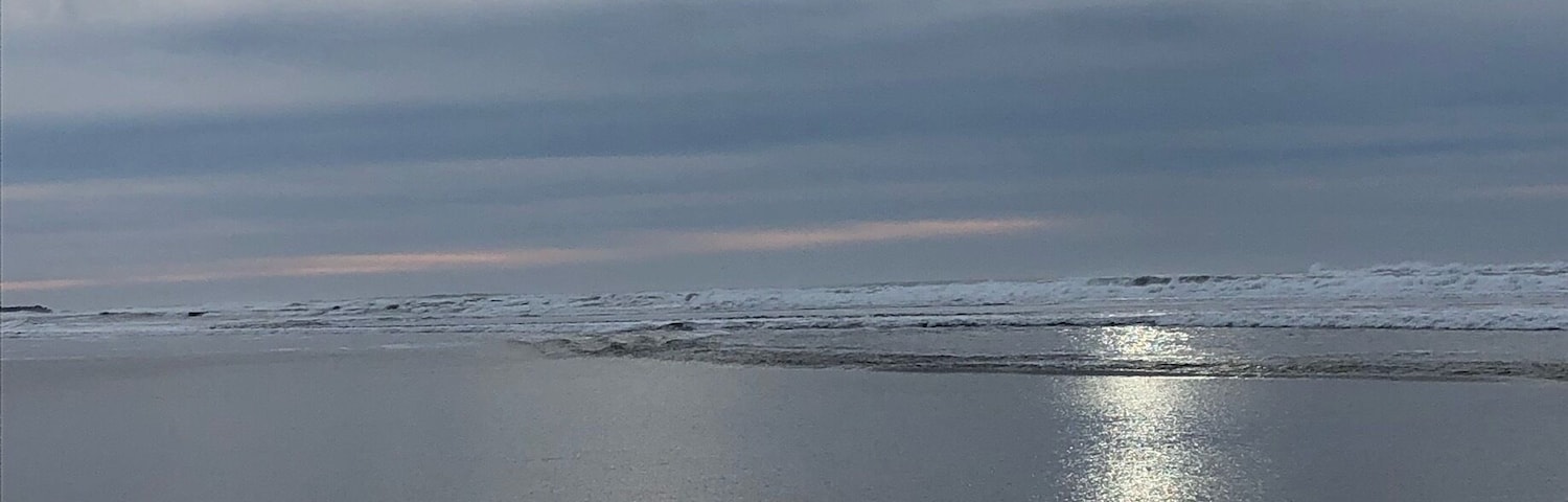 The thing about the Oregon coast is if you go in the summer, it’s insanely windy making the 70-80 degree weather feel like 40’s. However, if you got in the middle of January you are blessed with 60 degrees, no wind and pastel colors across the sky. #ocean #beach #daytrip #kidsfun #dogfriendly #7wondersoforegon #family #travel #adventure #