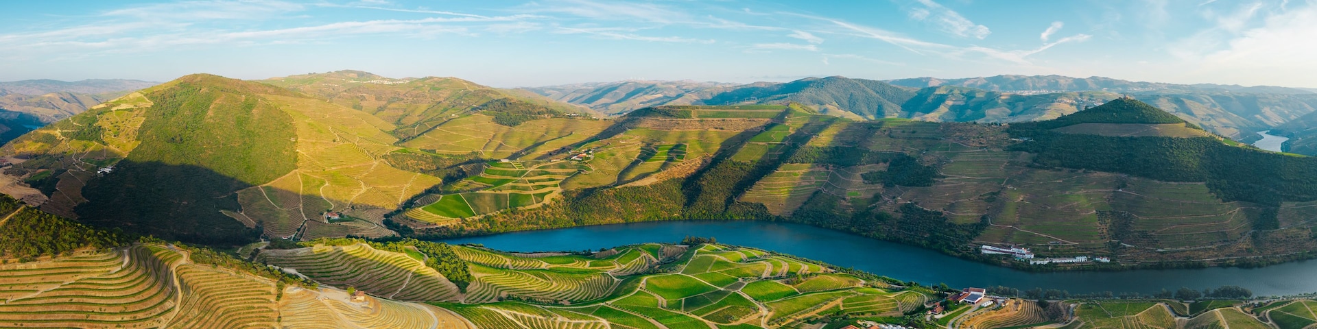 Vista panorâmica de vinhedos em socalcos e um lago rodeado por colinas.