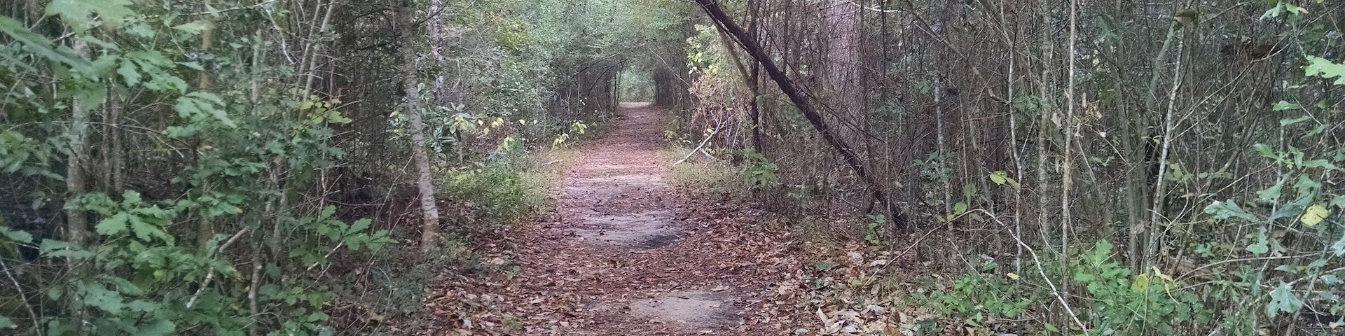 Loved this place. Absolutely tons to see. Bring bug spray, the mosquitoes will attack you!