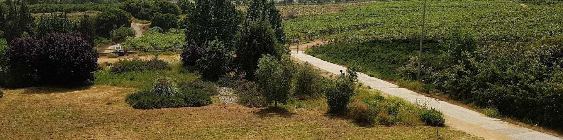 View from the balcony