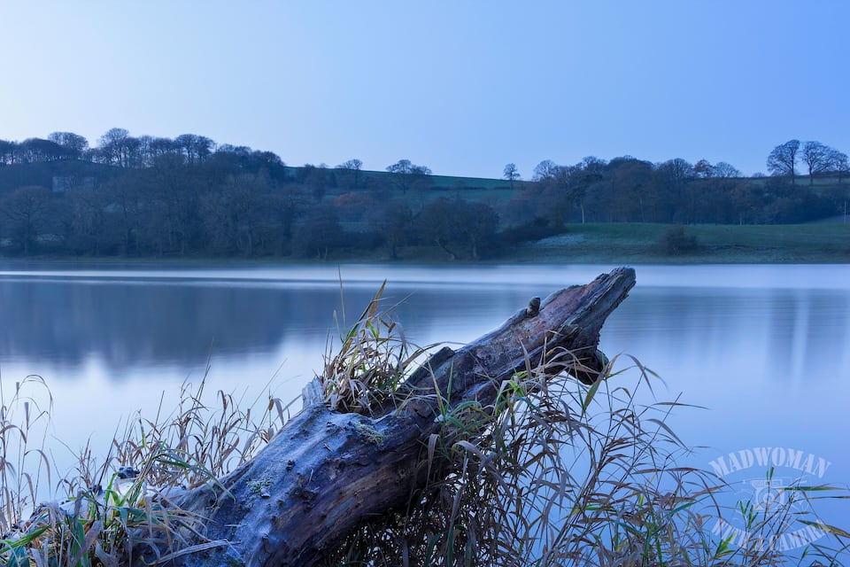 Um lago calmo com um tronco de árvore caído em primeiro plano e uma encosta arborizada ao fundo.