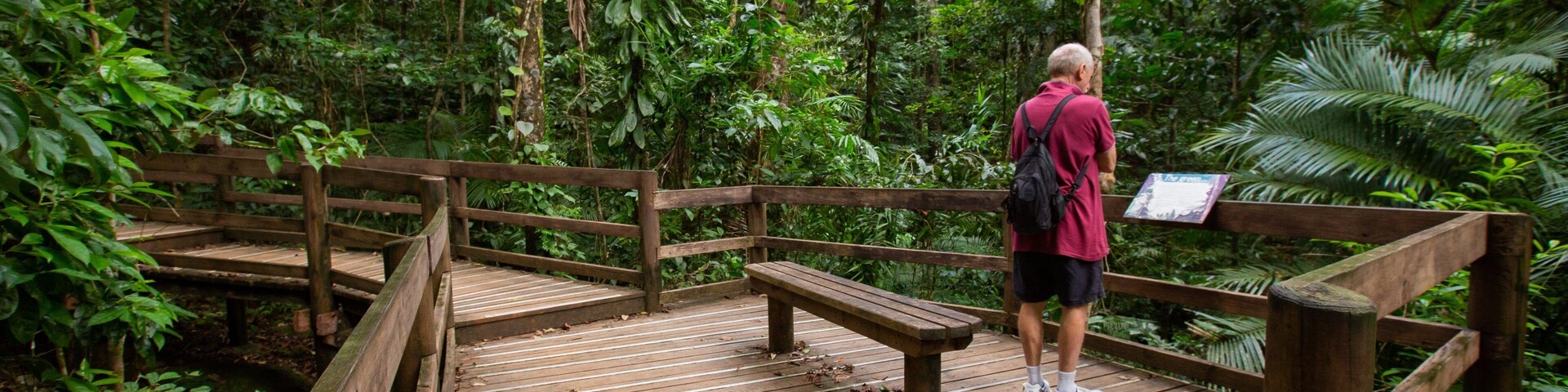 Um deque de madeira com bancos cercado por folhagem tropical densa.
