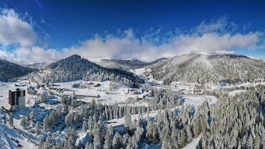 Paisagem montanhosa coberta de neve com pistas de esqui, edifícios e florestas densas.