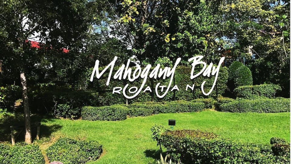 #mahogonybay