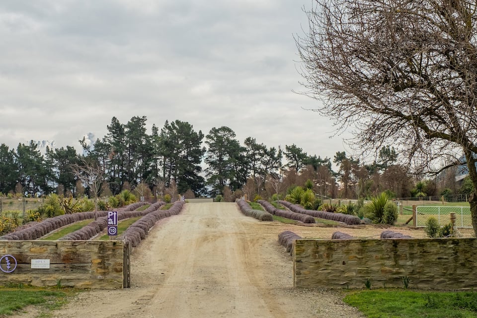 Uma trilha de cascalho conduz a um portão de fazenda com uma placa indicando "Wanaka Lavender Farm".