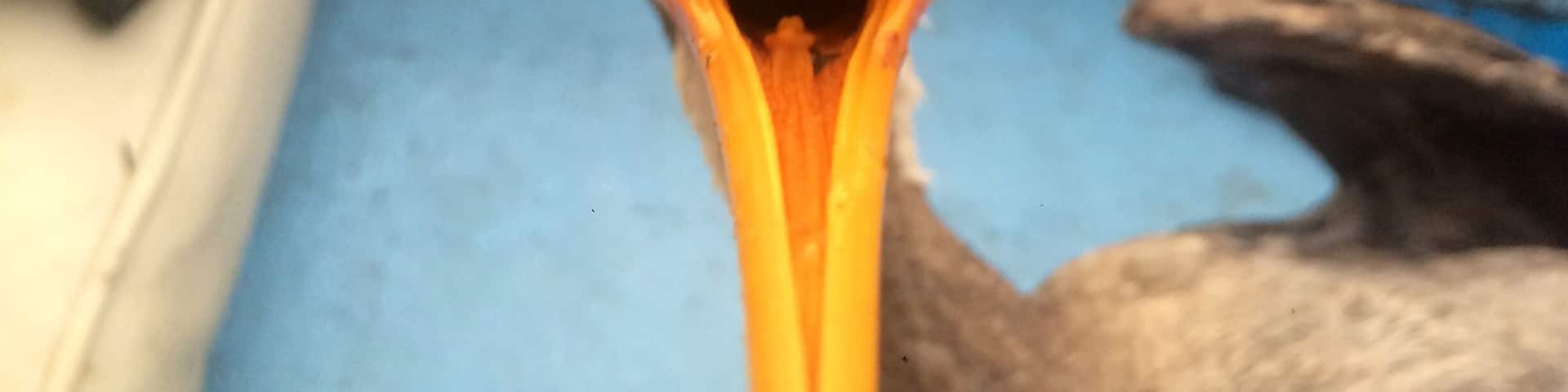 An unhappy visitor to our fishing boat in Isla San Lorenzo, Peru #fishing #birds #hunter #peru #peruvian #attack
