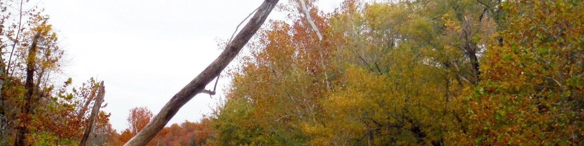 A fall float trip through the beautiful Ozark Mountains.