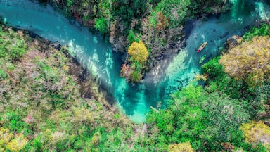 Um rio rodeado por vegetação verde densa, com caiaques visíveis na água.