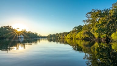 Um rio tranquilo com árvores refletindo o brilho do sol.