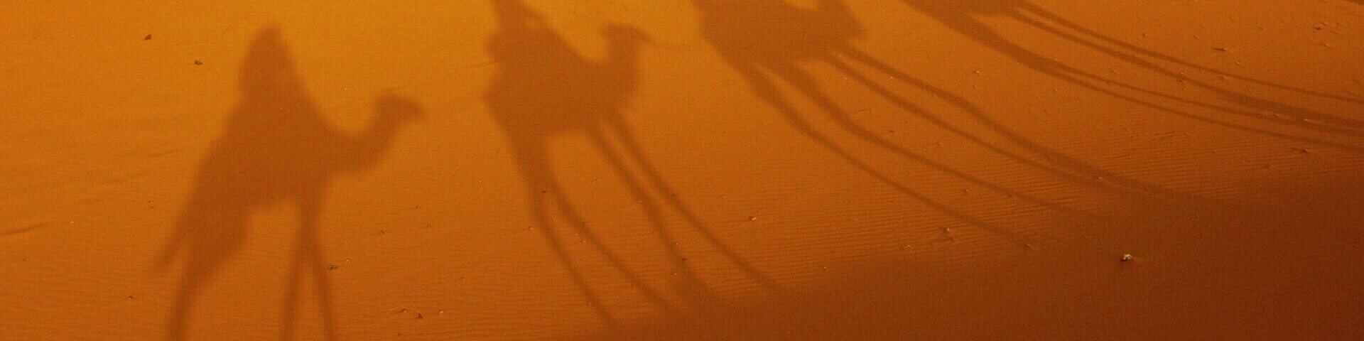 On a trek to a desert camp . On the Sahara, Morocco.