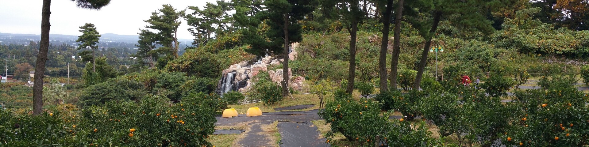 Seogwipo Citrus Museum, Jeju.