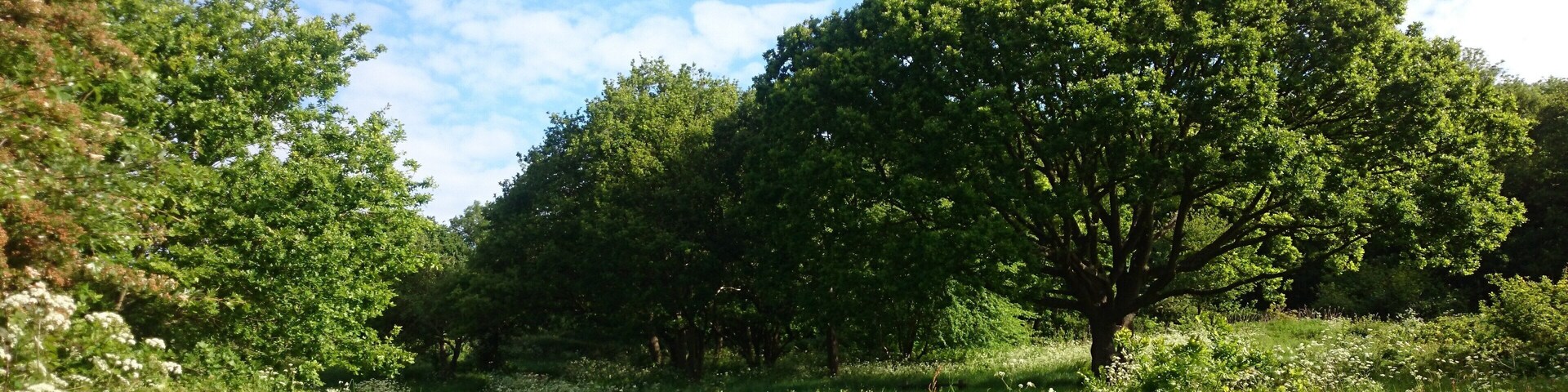 Horsenden Hill