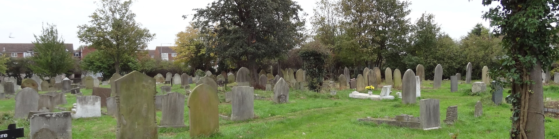 Dagenham Village Churchyard, a Local Nature Reserve in Dagenham, London