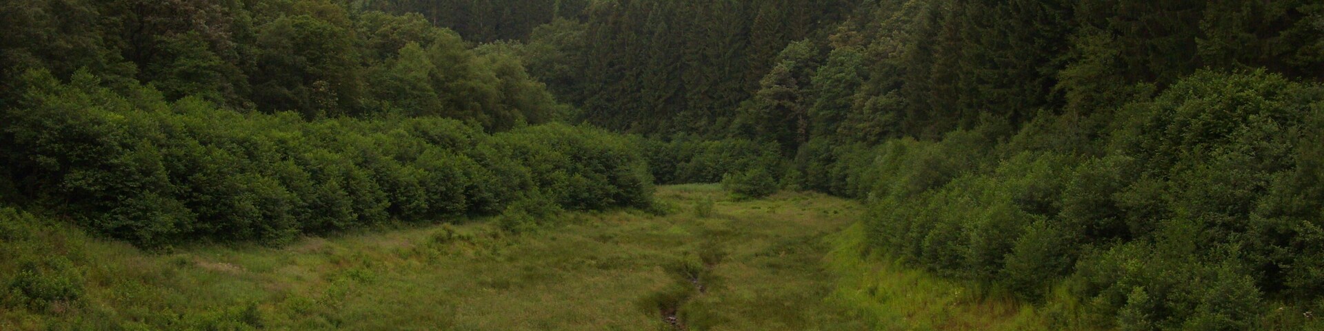 Ehemalige Untere Herbringhauser Talsperre, Wuppertal, Nordrhein-Westfalen