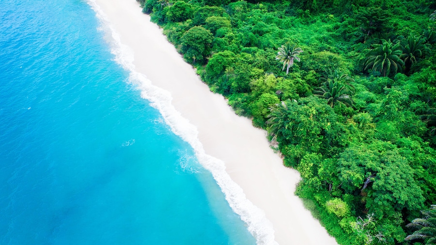 Uma praia com águas turquesa cristalinas e uma floresta verde exuberante.