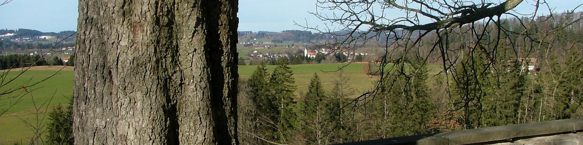Linde