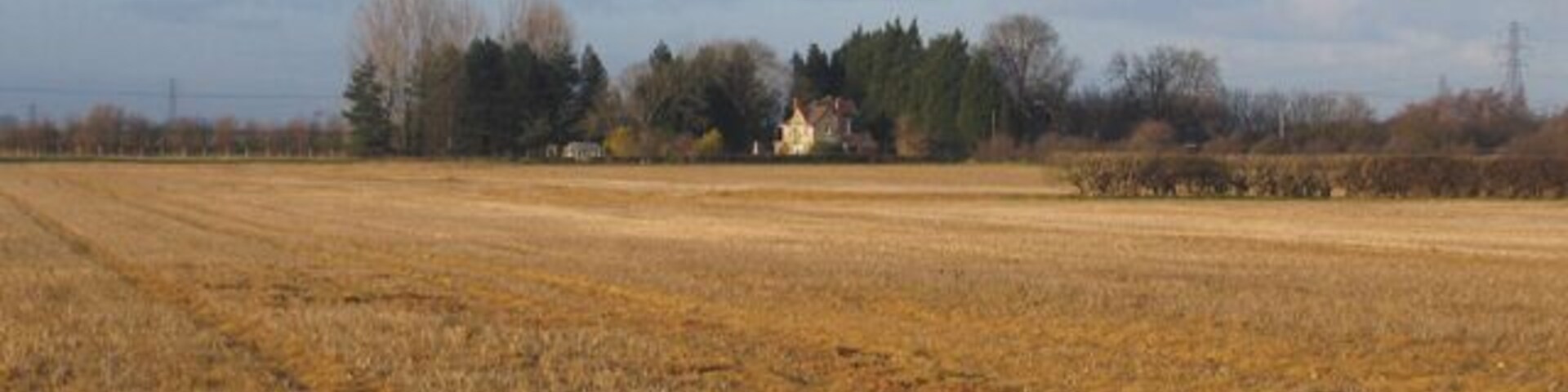 Woodhouse Farm, Impington, Cambs. View N across winter stubble along the eastern side of the square; this wedge of farmland extends into north Cambridge between the Huntingdon and Histon roads.