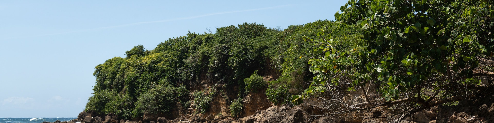 Paisagem costeira com águas azul-claras, falésias rochosas e vegetação verde densa.