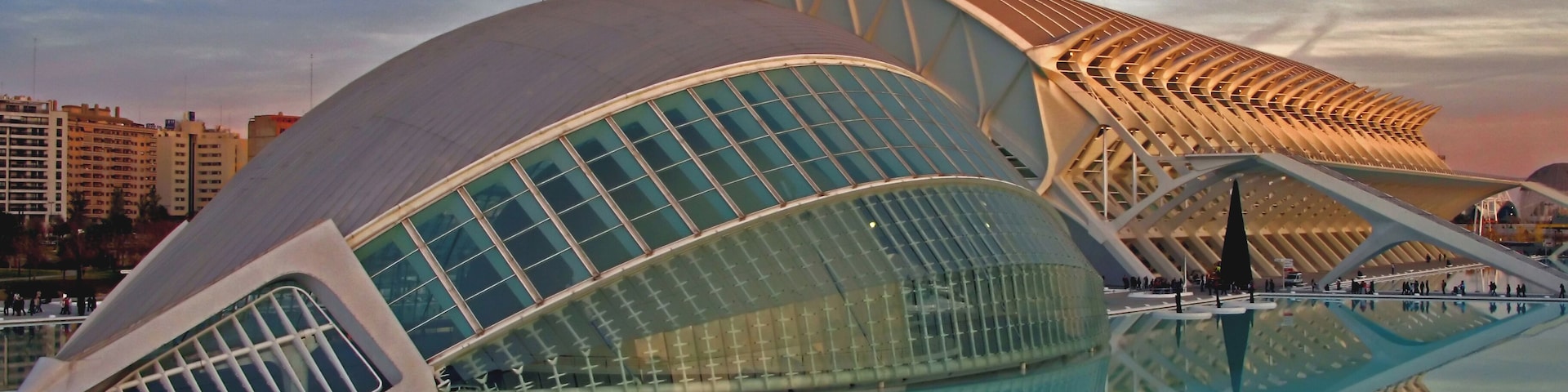 Un "alien" dormido esperando despertar