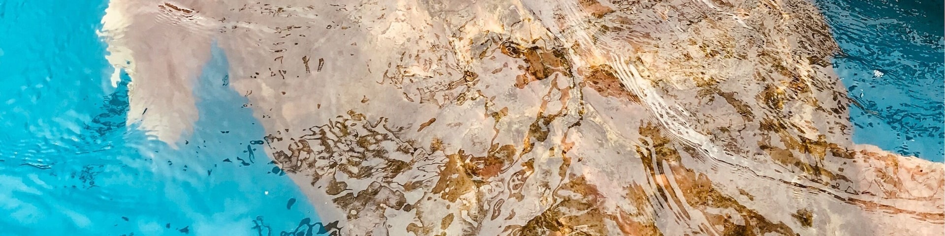 Great place to take kids, give food to sea turtles and their babies, rays and sharks!