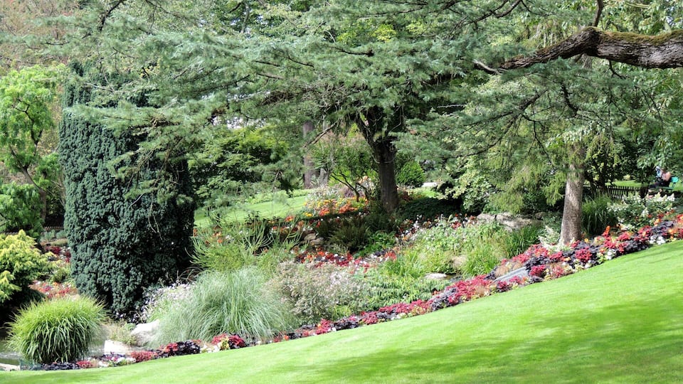 Jardin des plantes d'Angers, Maine et Loire, France