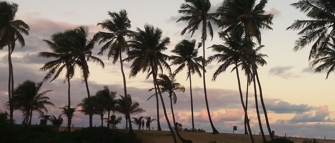 Pôr do sol sobre um lago calmo, refletindo palmeiras e um céu limpo.