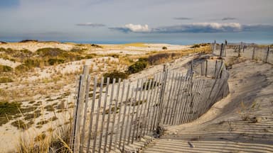 Uma praia arenosa com cerca de madeira e dunas.