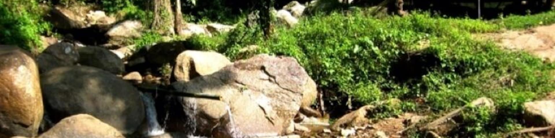 A small hut I saw while on a jungle trek.