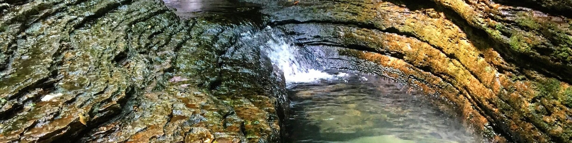 Get to this place early to avoid the crowds and find a parking spot!