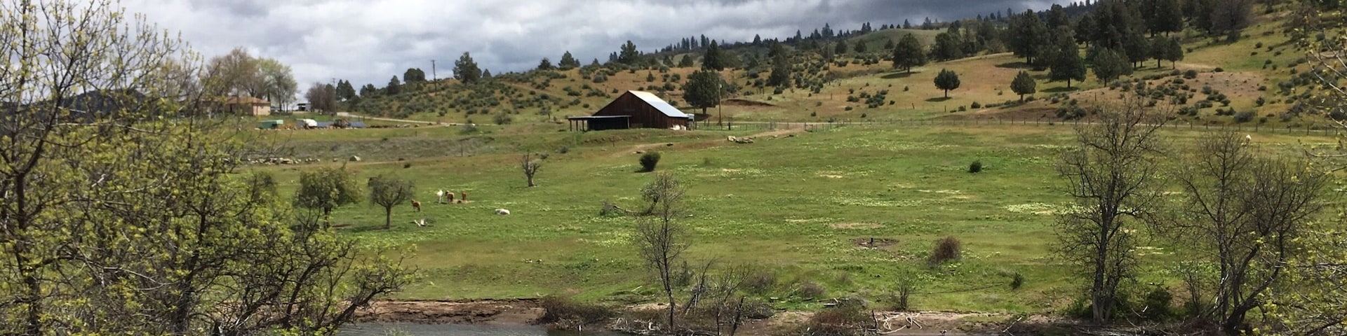Klamath River northbound on I5. Picturesque country setting.
#california #nature #river
(April 2017)