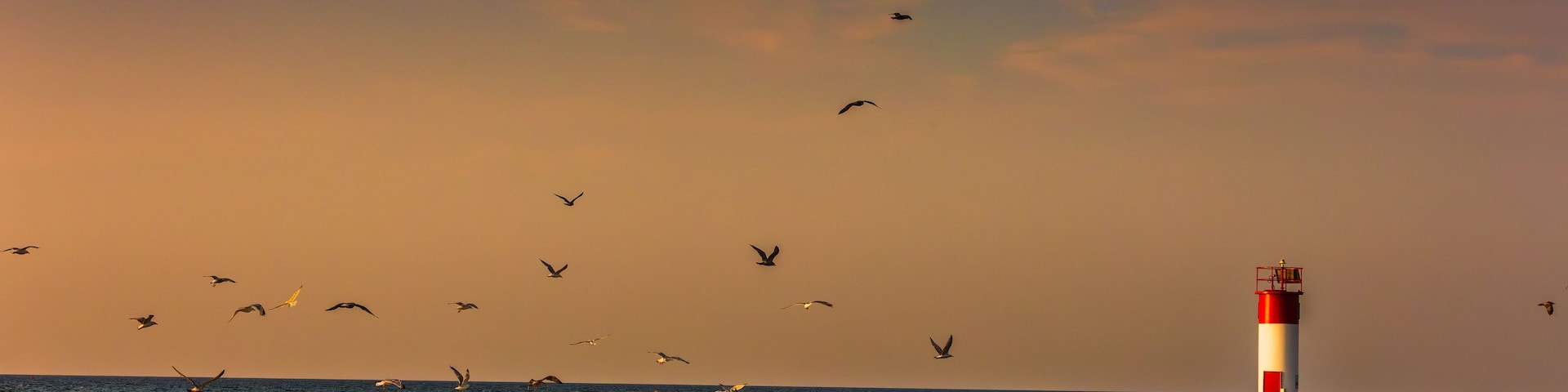 Um farol em um cais, com gaivotas voando acima.