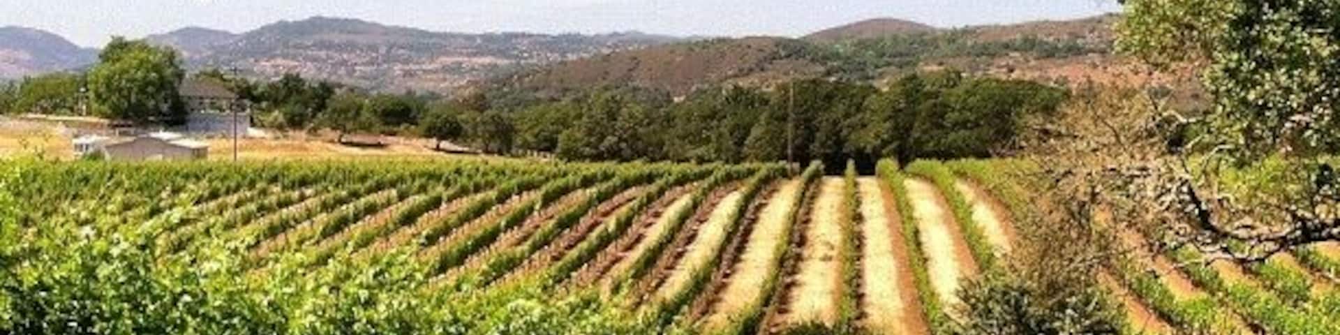 #napa #napavalley #california #memorialday #vineyard #babywine