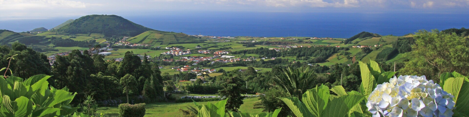 Paisagem costeira com colinas onduladas, uma aldeia e uma flor branca grande em primeiro plano.