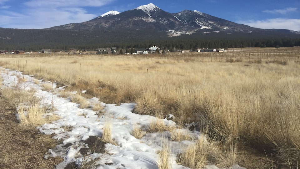 Too crowded to go up mountain