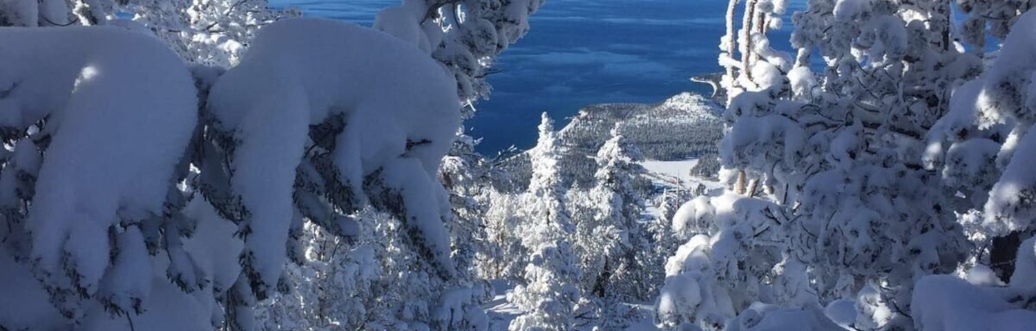 Fresh powder for the 1st morning run! Heavenly!!