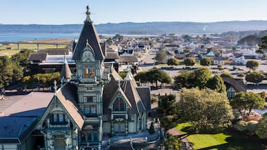Uma igreja histórica com arquitetura elaborada, rodeada por uma pequena cidade com casas e vista para o mar.