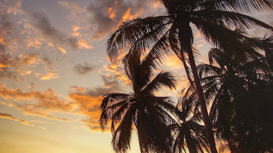 When I’m at the beach, my goal is to capture an image that you could classify as that “iconic tropical paradise” photo. I think I got it this time. #adventure #beach #sunset