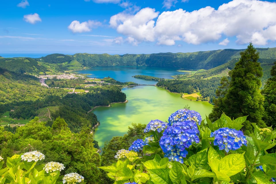 Um lago cercado por colinas verdes, céu claro e flores de hortênsia azul em primeiro plano.
