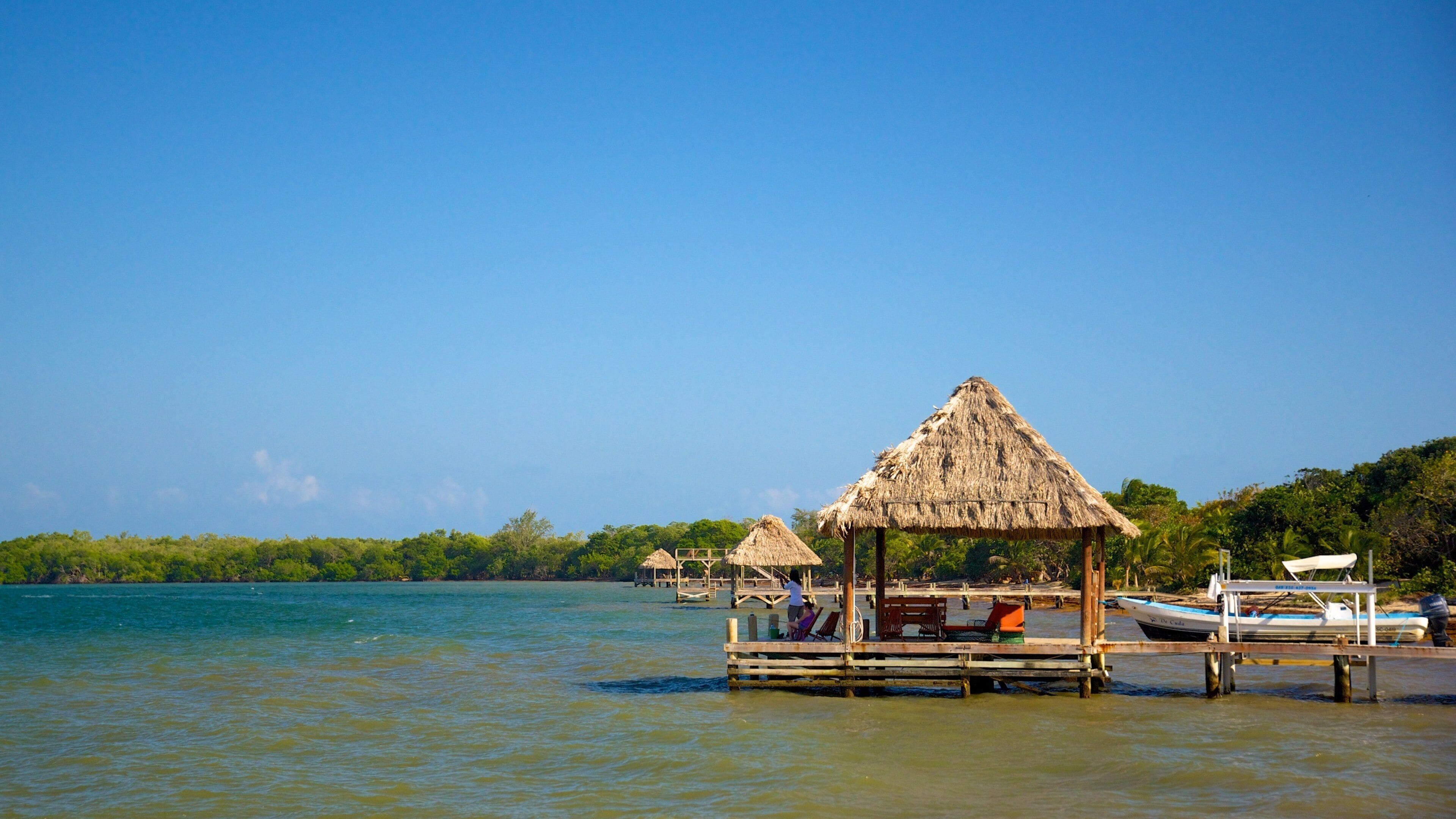 Hopkins which includes tropical scenes and general coastal views