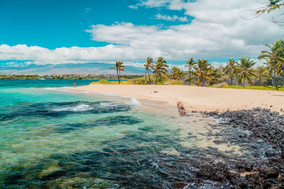 Uma praia com águas turquesa cristalinas, areal arenoso e palmeiras.
