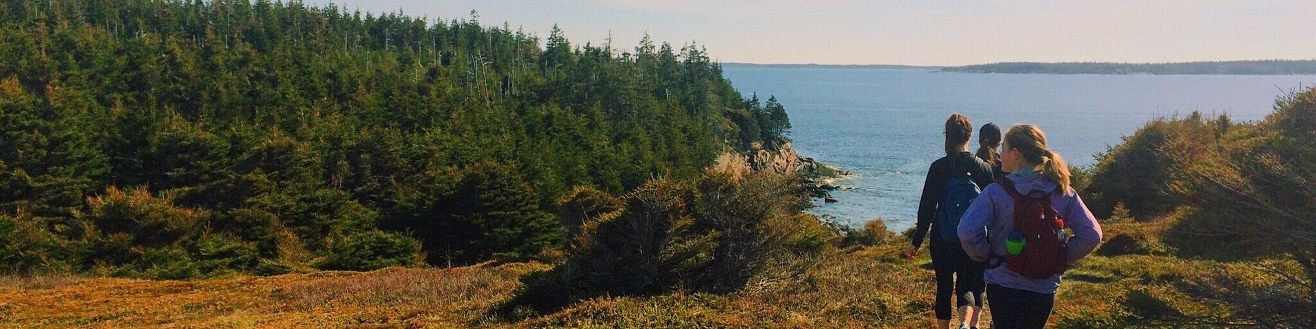 Stroll down Hirtles beach until you reach the end. Follow the Gaff point trail and find the "secret beach"