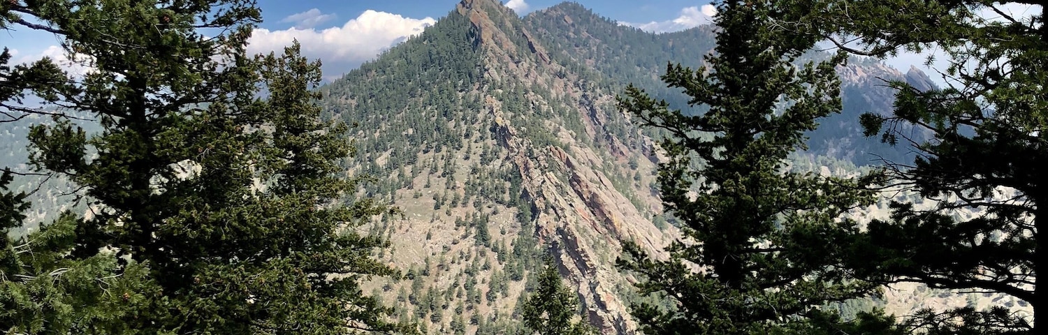 Took the Mesa Trail to Fern Canyon trail to the top of Bear peak out and back. Tons of elevation gain. Don't recommend for kids and if you have a dog that can't go off leash