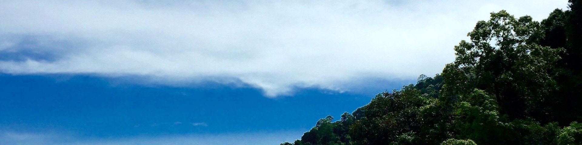 Turtle Beach is accessible via a one-hour hike through Penang National Park. Bring enough food and water as there is nowhere to buy more within the park. 
No entrance fee to enter! Great way to spend the day in Penang and get out of the city. #waterlust